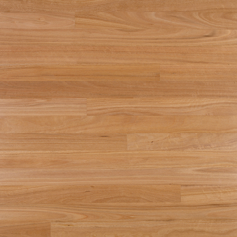 Outback Flooring - Australian Beech